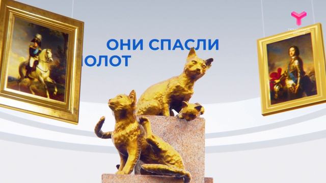 Алфавит Тюменской области - Сквер сибирских кошек