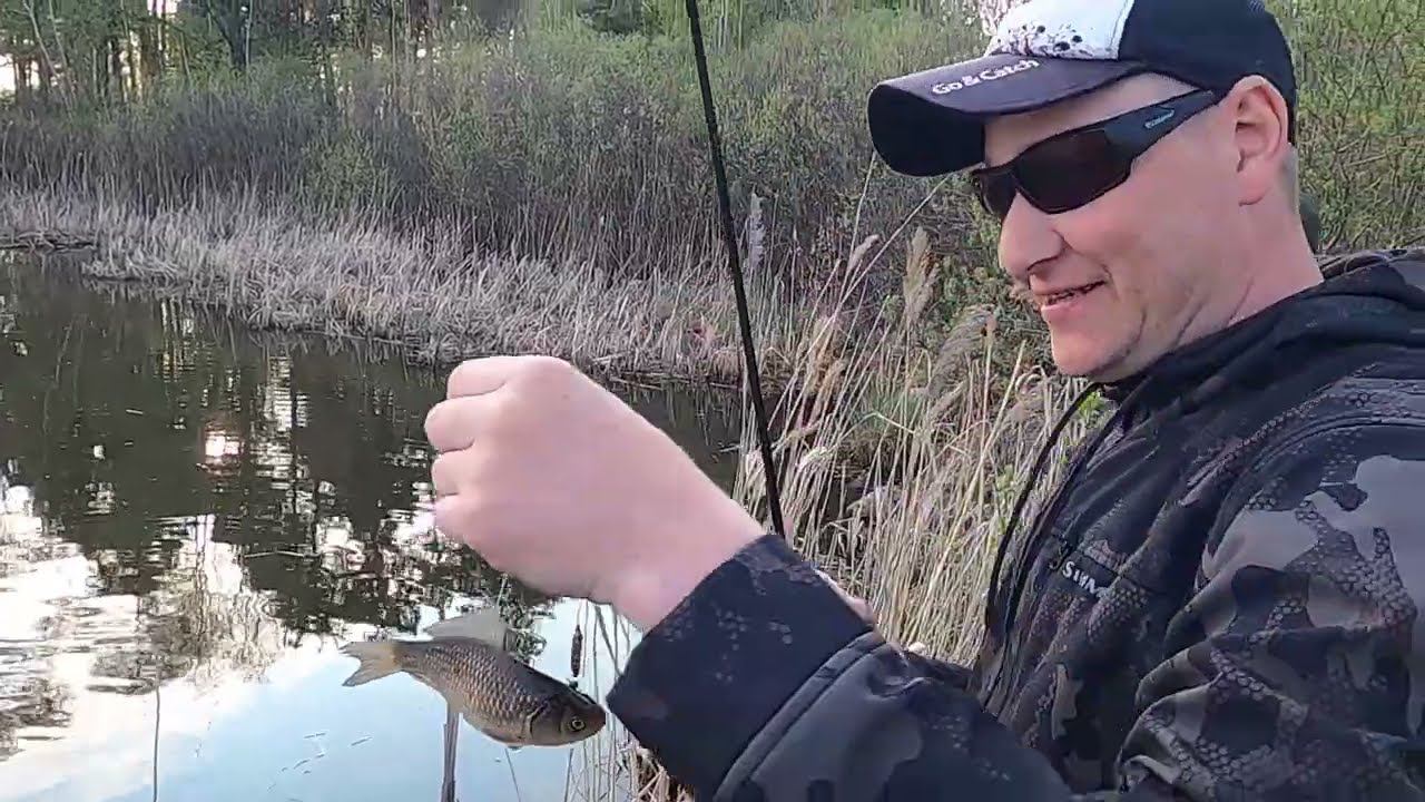 Карась на спиннинг. Рыбалка на карася на спиннинг. Два новых вида рыбы поймано на рыбалке))