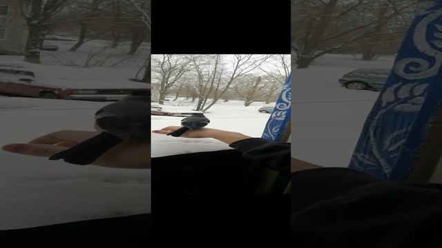 ? Лети, пташка...