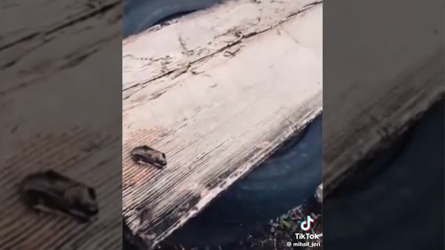 Олег😆😆😆🤣🤣😂