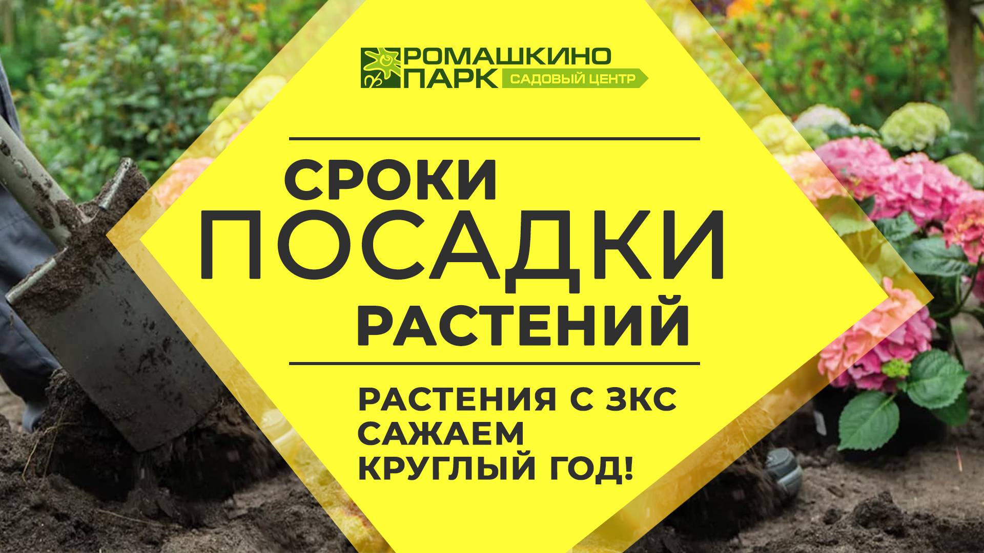 Когда можно сажать растения? Про сроки посадки растений с ЗКС и ОКС