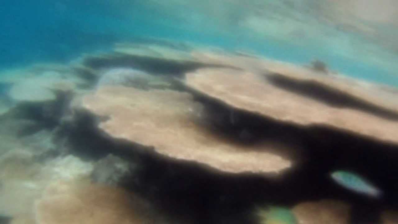 Vilamendhoo, Maldives. Vol.18