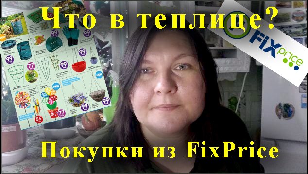 РАСТЕНИЯ/моя тепличка/ПОКУПКИ из Фикс Прайс для комнатного сада/СКАЗОЧНЫЙ ЛЕС