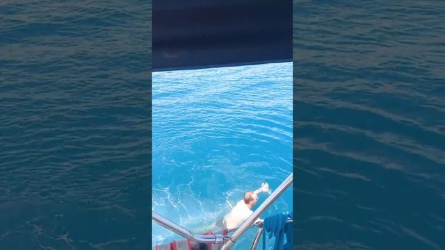 Аренда Яхты