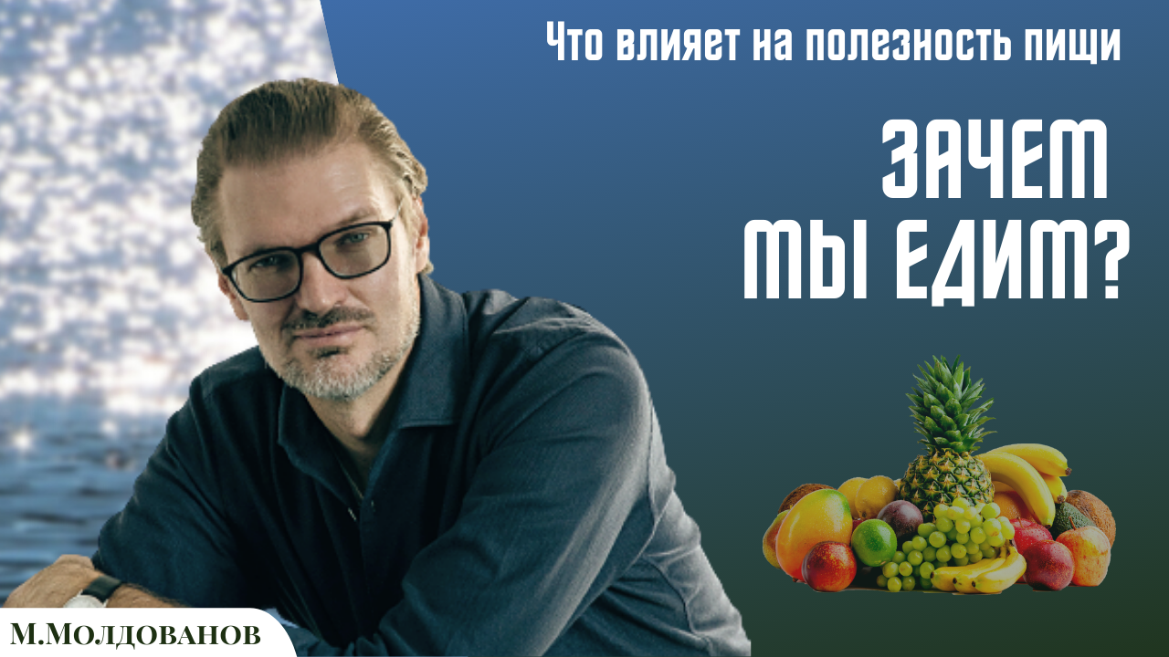 Зачем мы едим