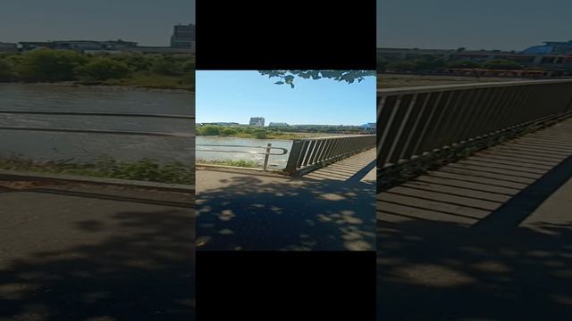 деловая колбаса