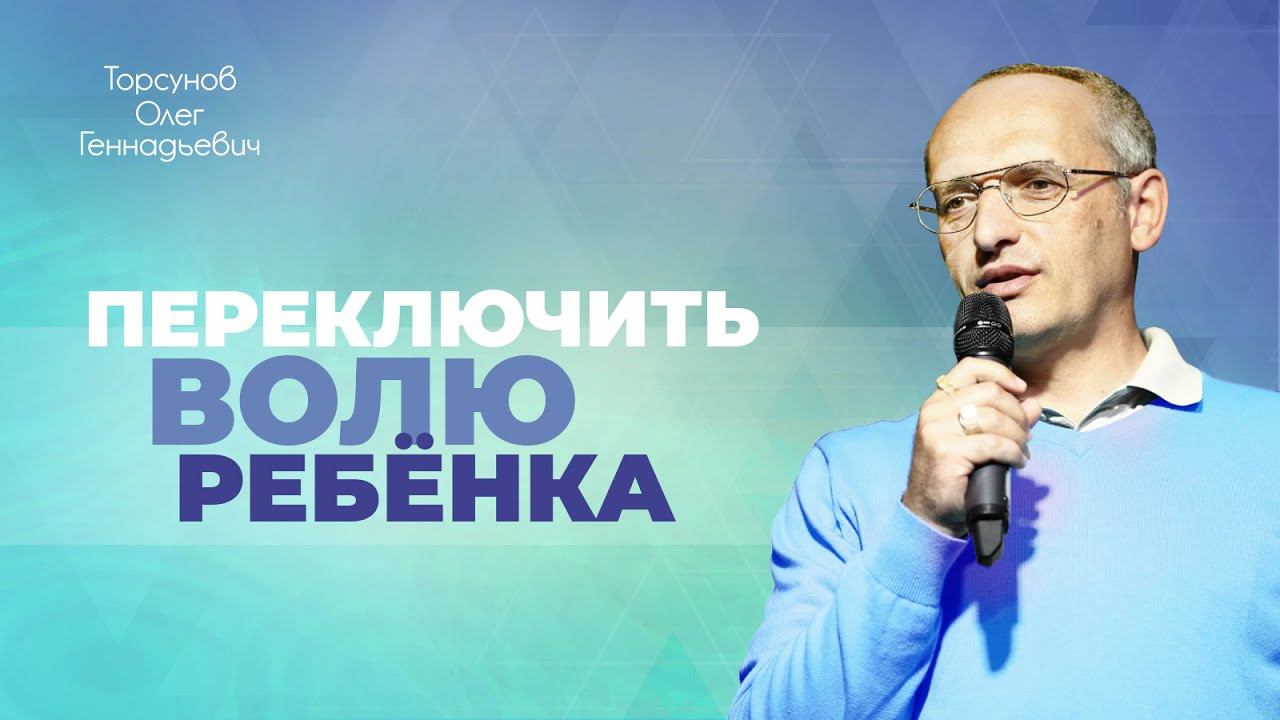 Как отучить ребёнка от компьютерных игр? (Торсунов О. Г.)