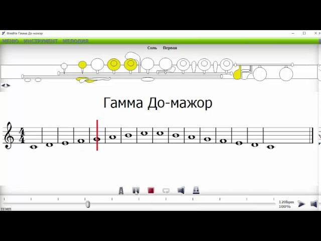 гамма до мажор поперечная флейта