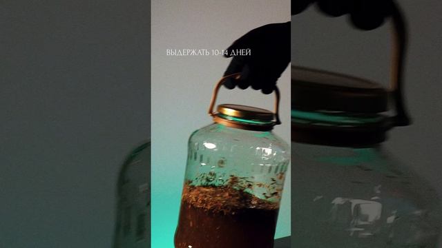 Как приготовить настойку Егерь на самогоне или водке  #shorts