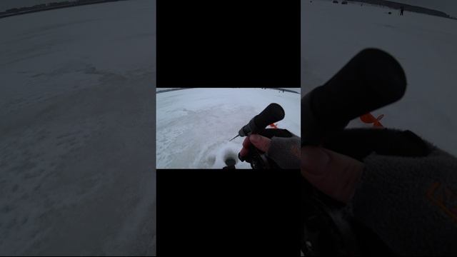 только закинул сразу поклевка#shorts