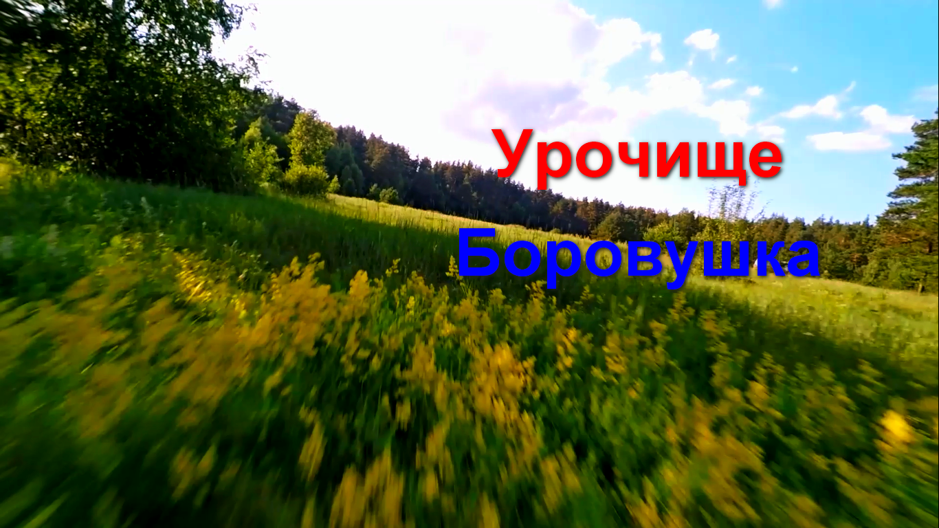 FPV полет . Урочище Боровушка .