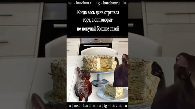 Кажется, он сильно оступился.?

#harchan