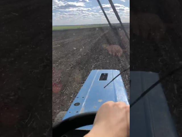 Прикатывания почвы на тракторе мтз-80