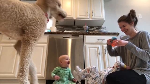 Смешные видео с детьми #105.mp4