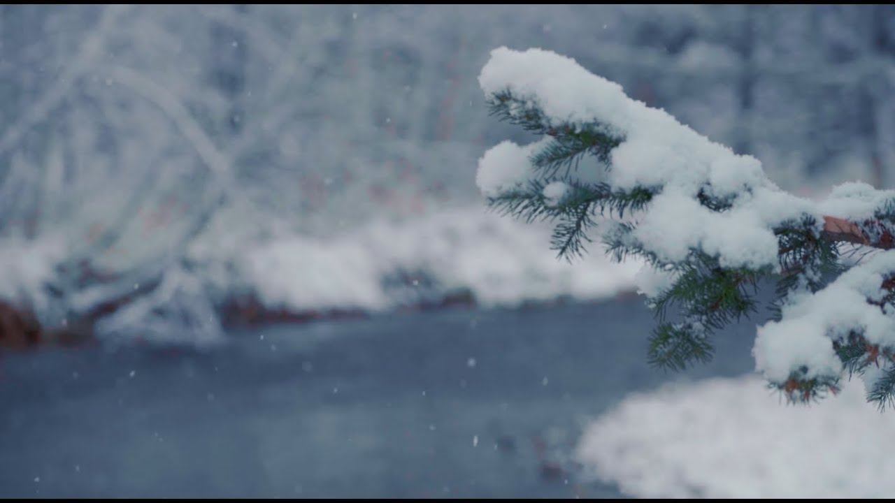 Лица Енисейской Сибири | Серия 5 | Ульф Зибах