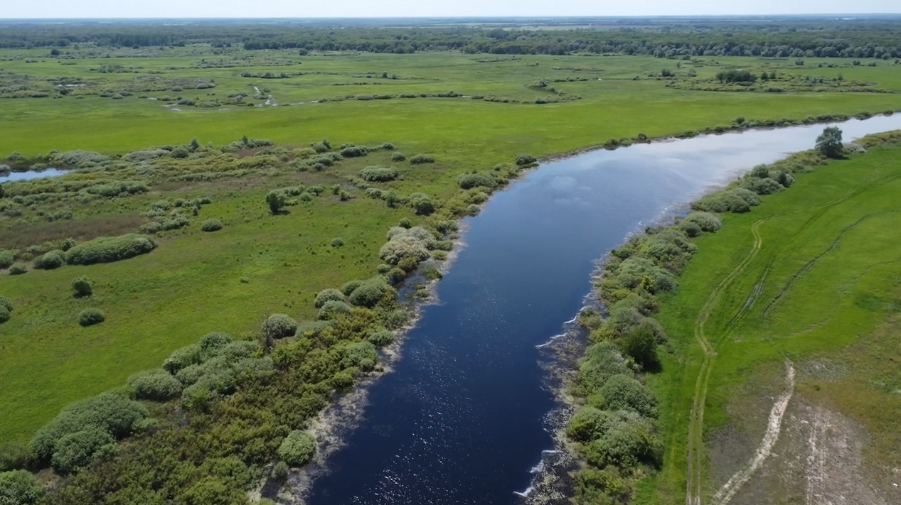 Пойма реки Хопёр с квадрокоптера DJI MINI 2. Борисоглебск