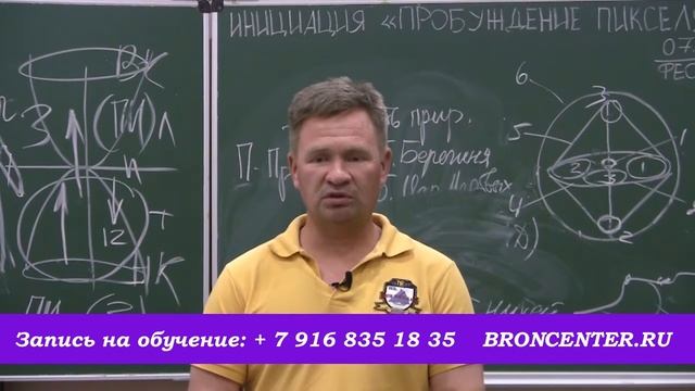Отзыв о системе В.М.Бронникова Чумбакова Константина