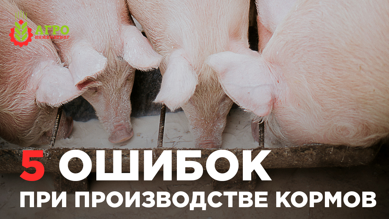 Пять ошибок при производстве кормов.