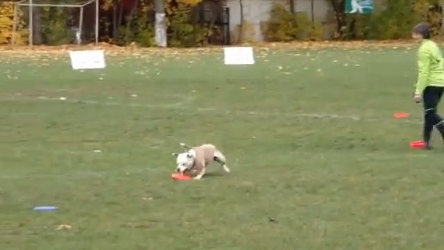 показательные на фестивале фристайл Татьяна и Соня.mp4