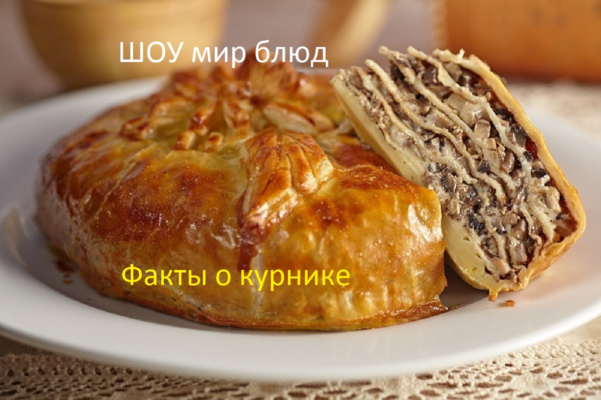 /ШОУ мир блюд / Выпуск 1 Курник по-казачьи