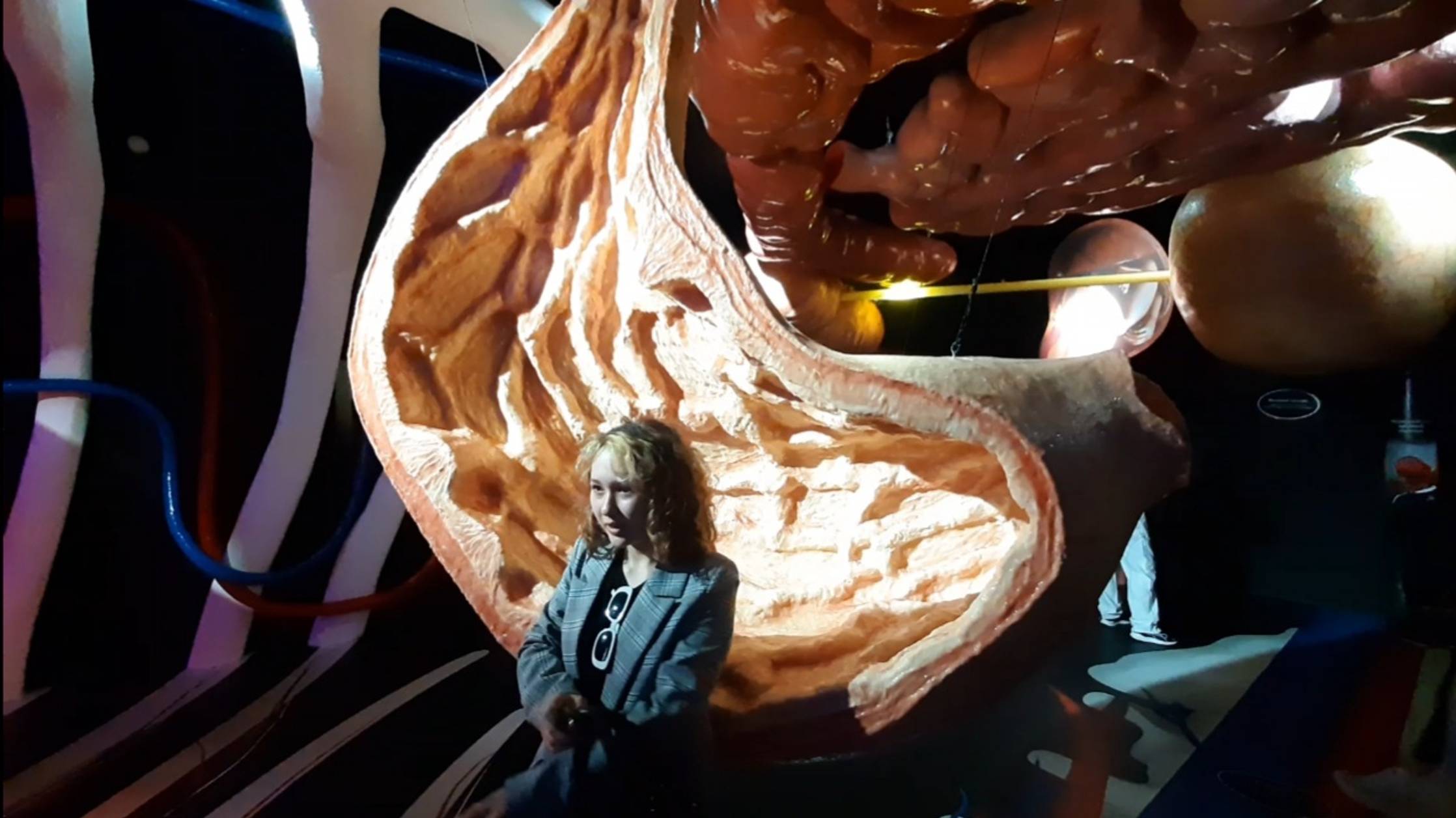 УЗНАЙ СВОЙ ОРГАНИЗМ...