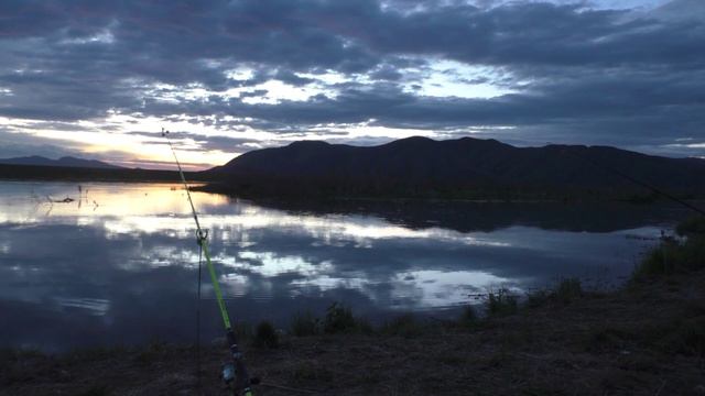 Хроники рыбалки. Лето 2024 ч-4