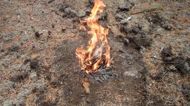 О таежном костре и ориентировании по дыму