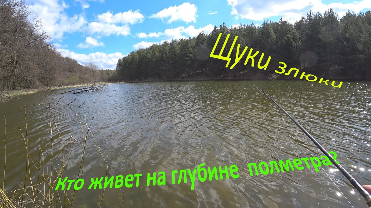 Как и где ловить щуку весной