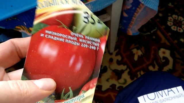 Выращивание помидоров и огурцов на балконе в 2023 году ➤Новые посадки➤ Часть 1
