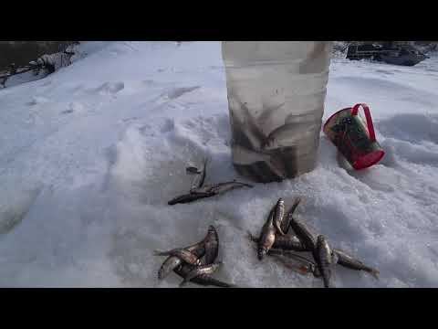 Рыбалка. Ловлю живцов  и ставлю жерлицы на мотобуксировщике. Удобно ставить проверять и снимать!