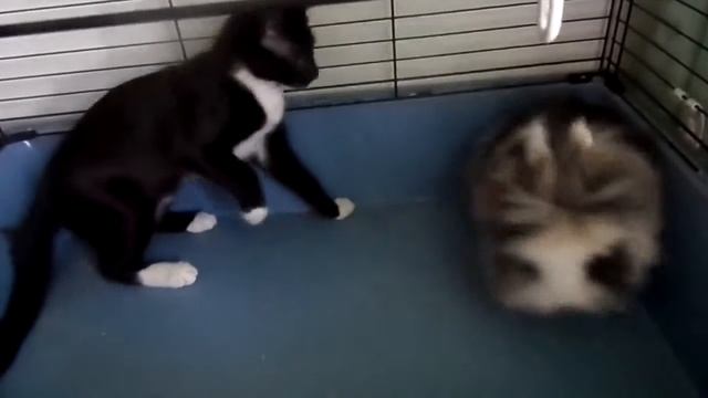 Почти друзья..mkv