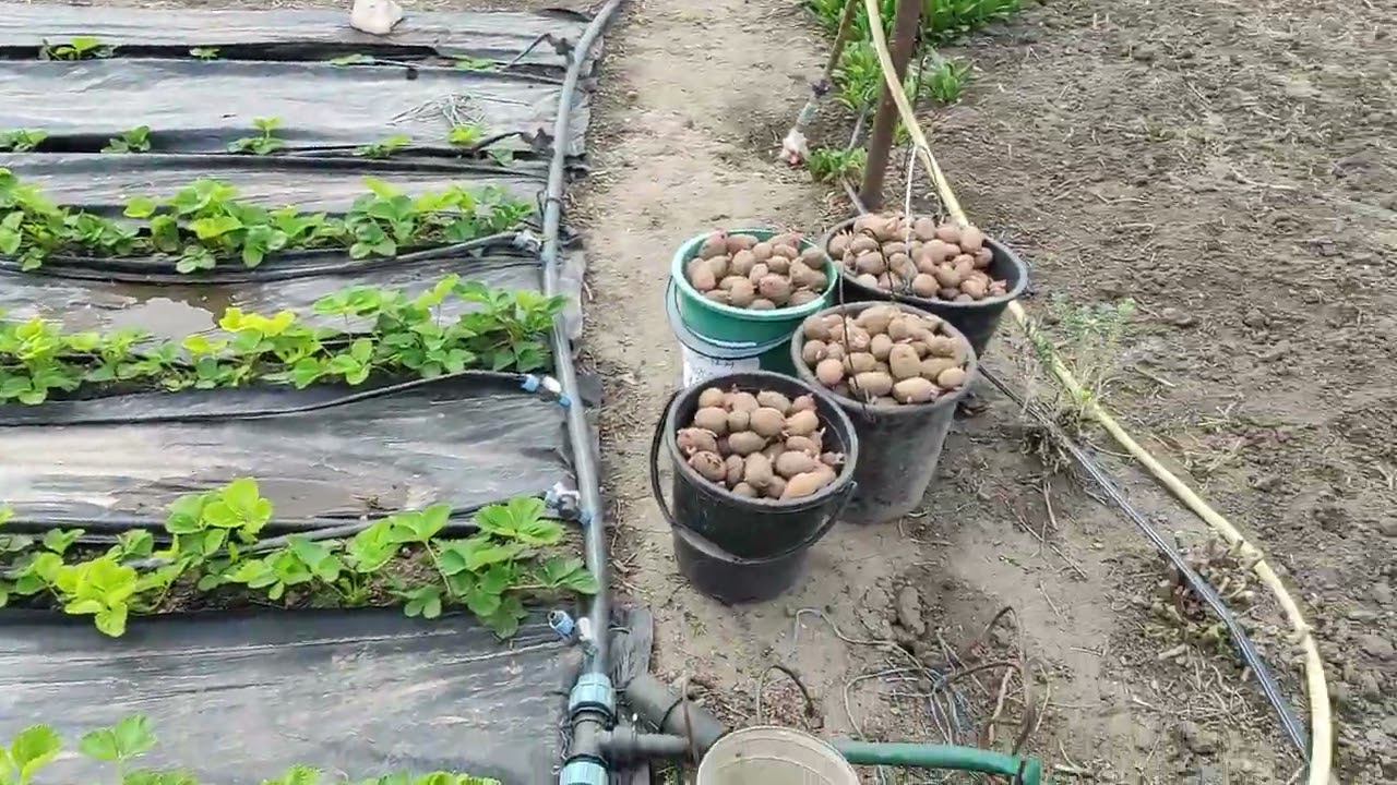 Весна вступает в свои права