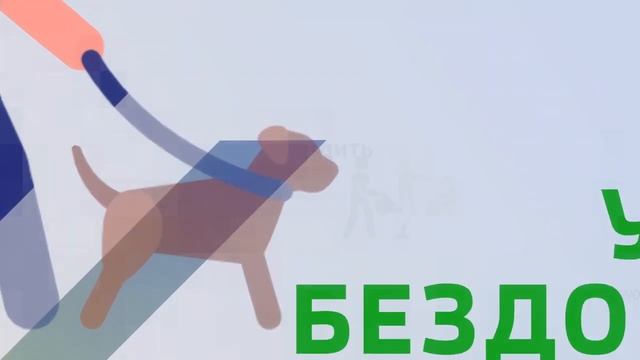 Видеоролик для новостного сайта MOS.RU – Волонтеры. Как стать одним из них