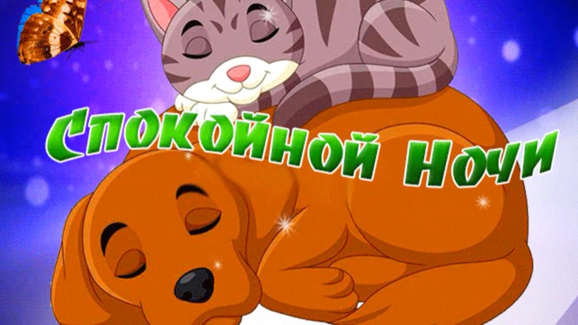 Звезды в этот час на небе - только для тебя!