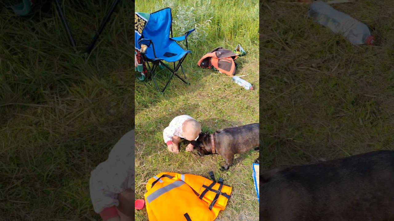 С другом! #супернастуся #винтик #французскийбульдог #солнечныймалыш #синдромдауна #downsyndrome