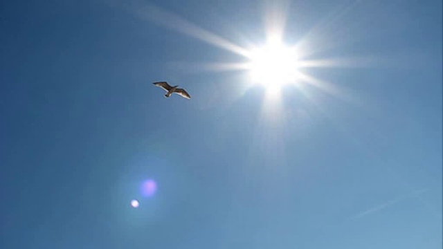 Свобода выбора в Духе.