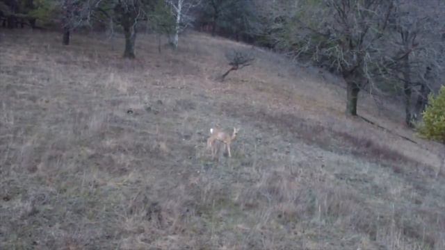 Ранняя весна в Усадьбе Горки! Когда гости радуют как подснежники!