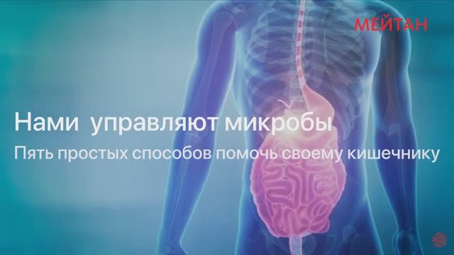 Как состояние микрофлоры влияет на здоровье человека?