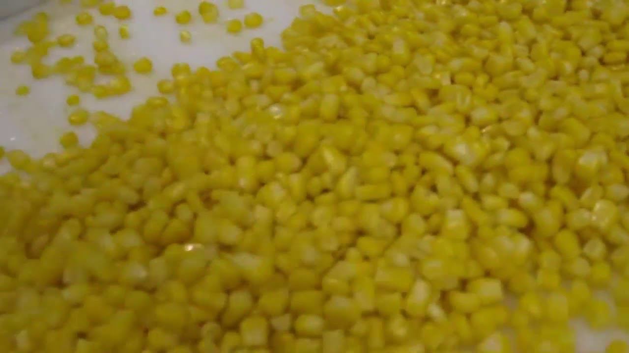 Кукуруза - оптическая сортировка зерен.