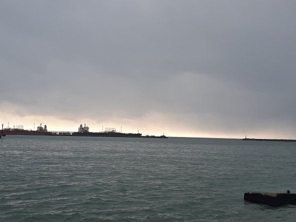 Туапсе 28.01.2022 акватория порта: рыбалка на форель.