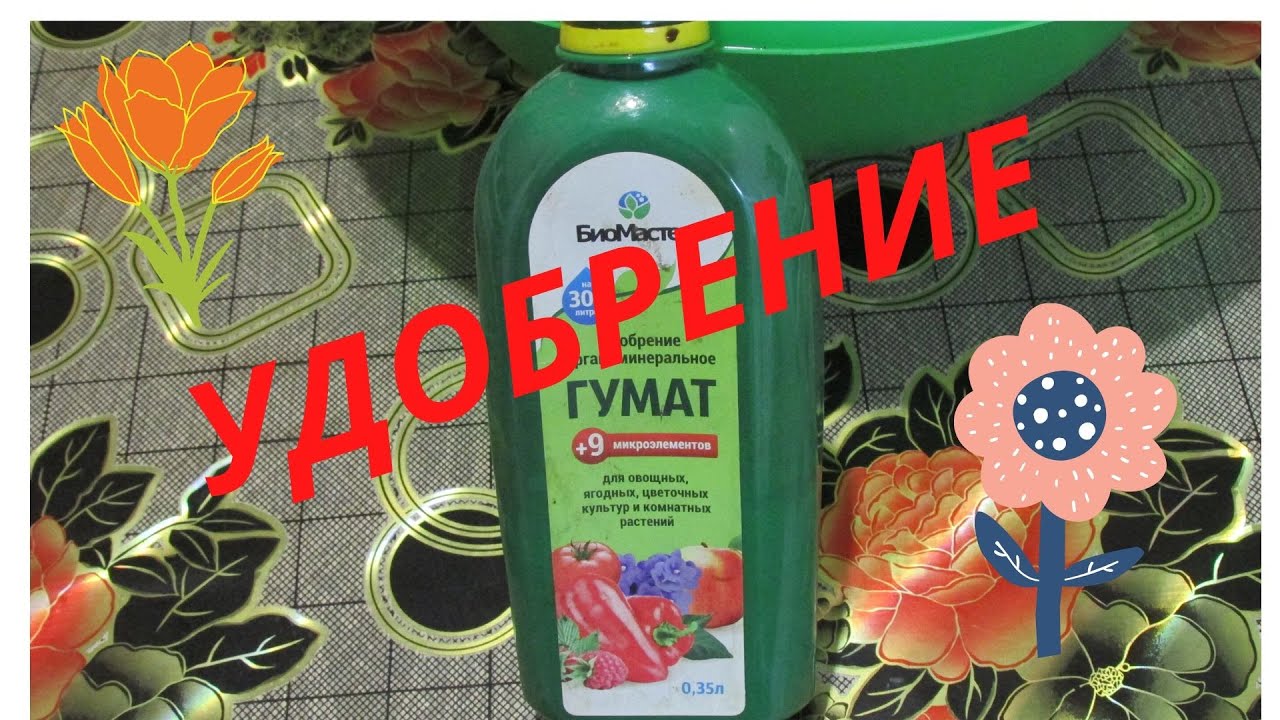 КОРМИМ РАССАДУ!!! НЕДОРОГОЕ И ЭФФЕКТИВНОЕ СРЕДСТВО!!!