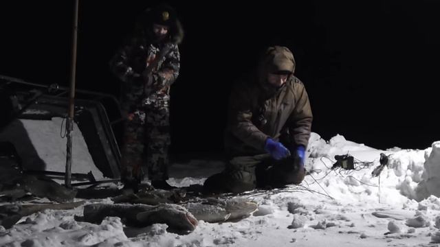 С Артемом на проверку. Перемет реабилитировался или новичкам везет))