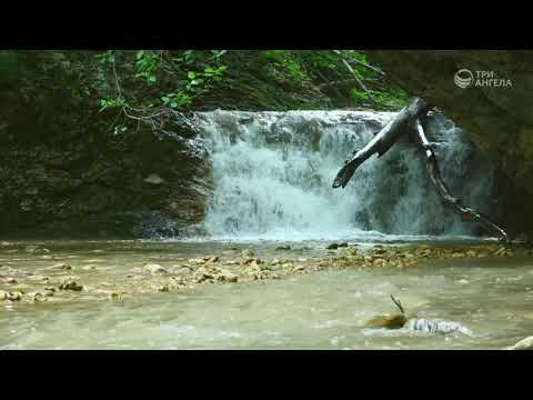 Летний ролик | С любовью к русской природе