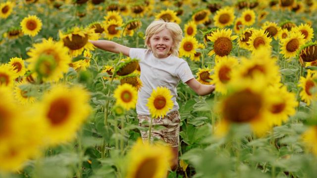 Sole Mio. Василий Иголкин