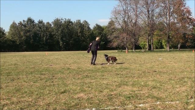 USDDN WF QUALIFIER Людмила и Аргентина.mp4