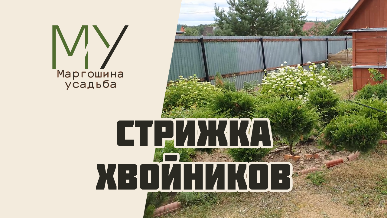 Стрижка хвойников
