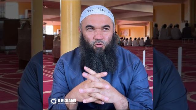 Лайфхак для студентов. Ринат Абу Мухаммад