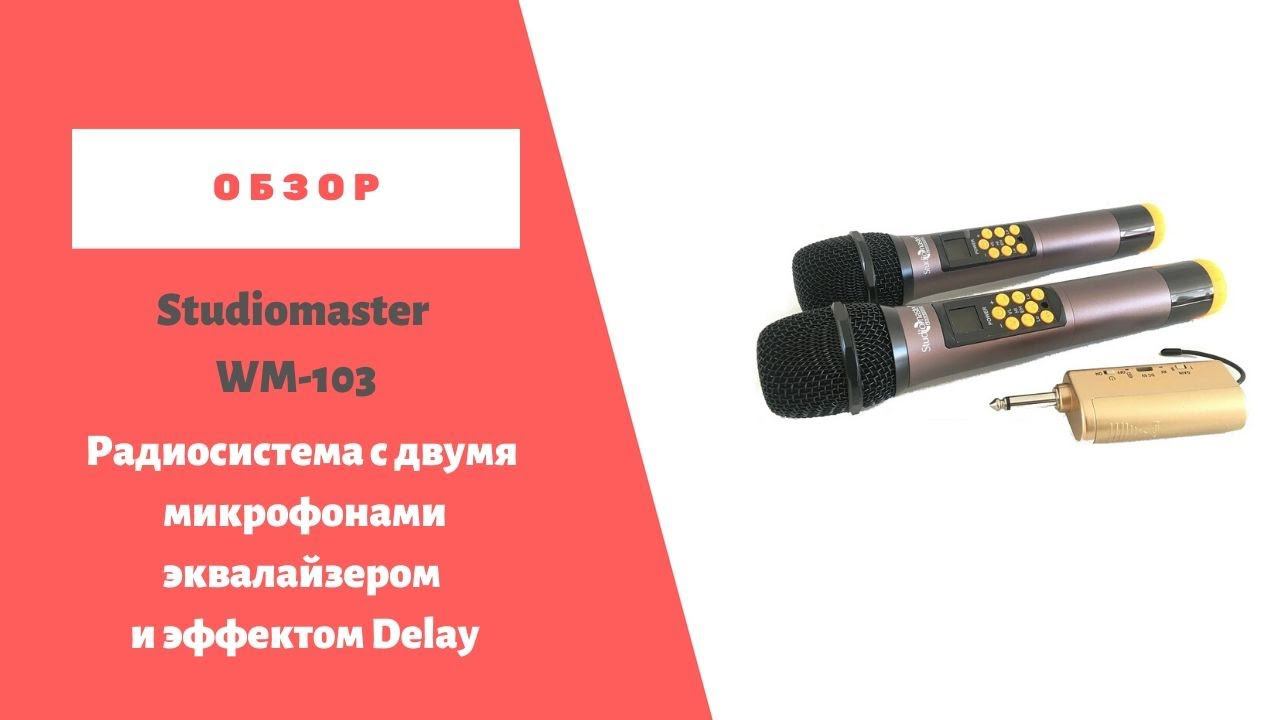 Радиосистема с двумя микрофонами, встроенный эквалайзер и Delay