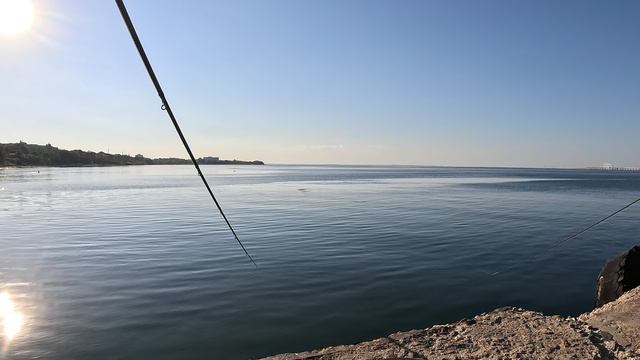 Активная клёв чуларки