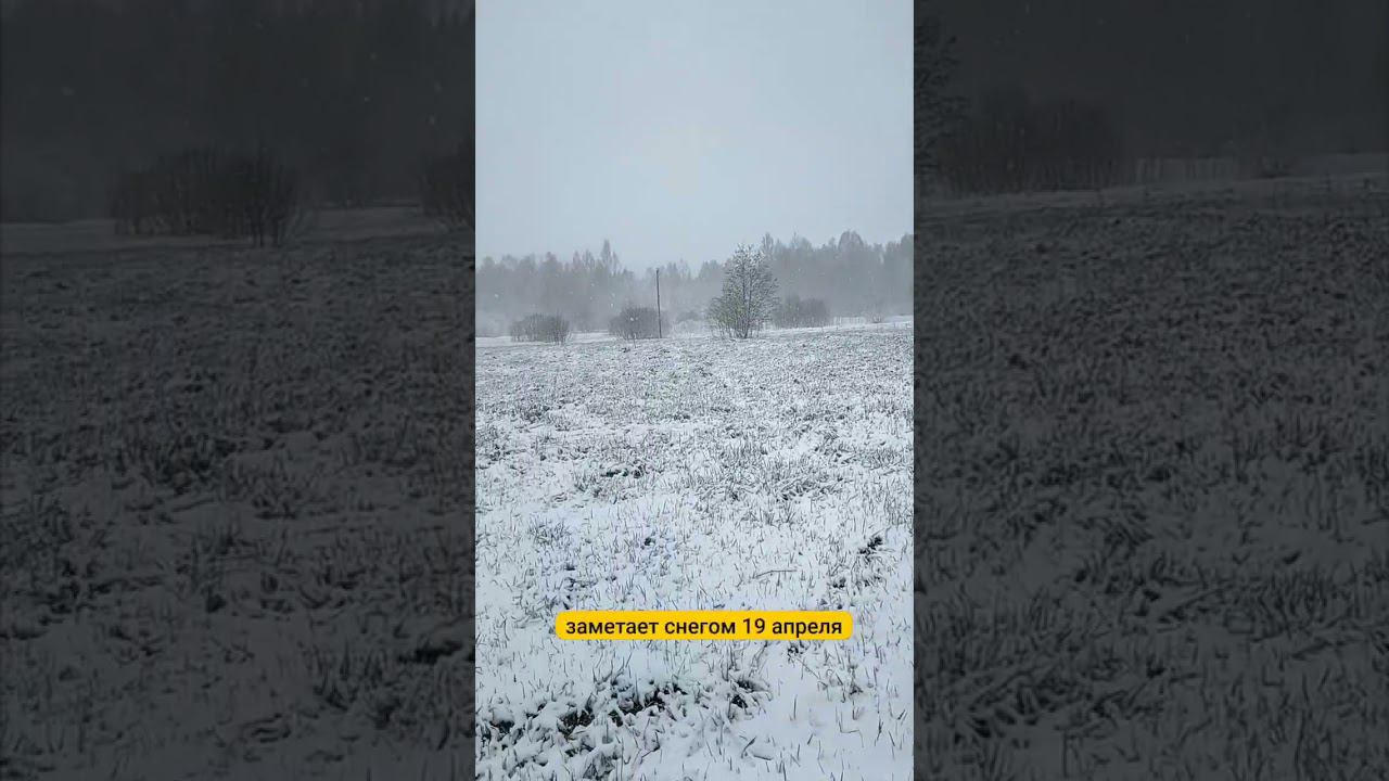 Заметает снегом 19 апреля.